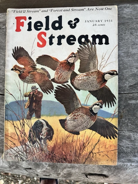 JANUARY 1931 FIELD & Stream Magazine Quail Lynn Bogue Hunt £22.15 ...