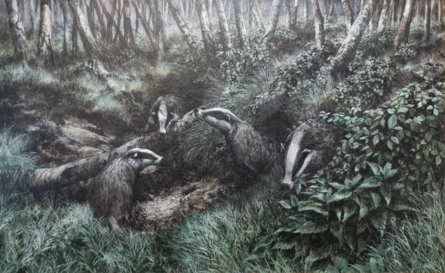 KEN TURNER - Extra Large Oil Painting -Badgers Emerging From Their Set ...