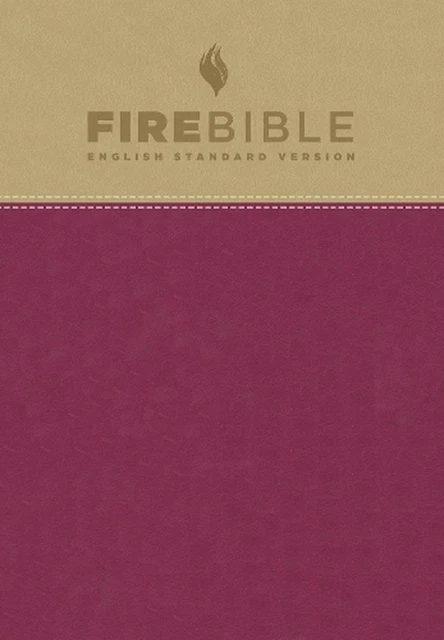 FIRE BIBLE-ESV: ENGLISH Standard Version by Donald Stamps (English ...