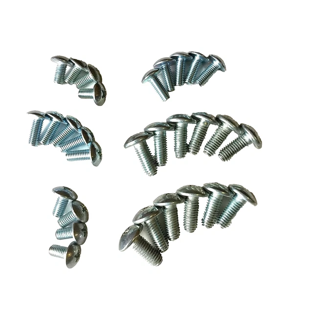 TARGA / DOOR Rail Bolt Set - Samurai '80-'95 EUR 38,69 - PicClick FR