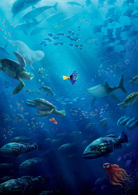 FINDING DORY POSTER Cartone Animato Animazione Walt Disney Pixar EUR 14 ...
