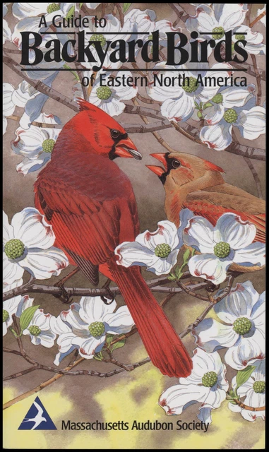 A GUIDE TO Backyard Birds of Eastern North America £17.62 - PicClick UK