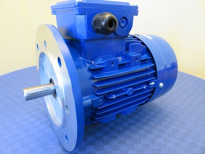 ELECTRIC MOTOR AC 1,1kW S6 3000/min Shaft 19mm 80 B5 (Flange) £129.18 ...