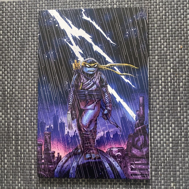 IDW TEENAGE MUTANT Ninja Turtles #99 FrankieS Comics Virgin Variant ...