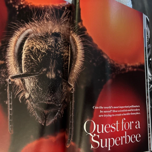 NATIONAL GEOGRAPHIC MAGAZINE May 2015 Vol 227 No 5 Dolphins Bees Detroit £7.55 - PicClick UK