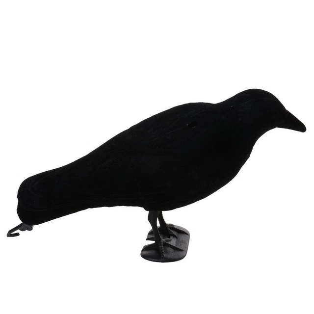 BLACK FLOCKED CROW Full Body Decoy with Legs and Stake for £14.24 ...