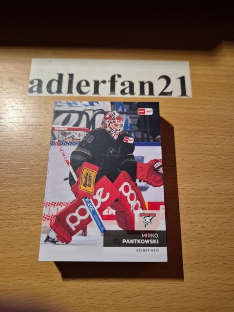 DEL 24-25 2024-2025 Teamset komplett Kölner Haie KEC 25 Karten EUR 4,99 ...