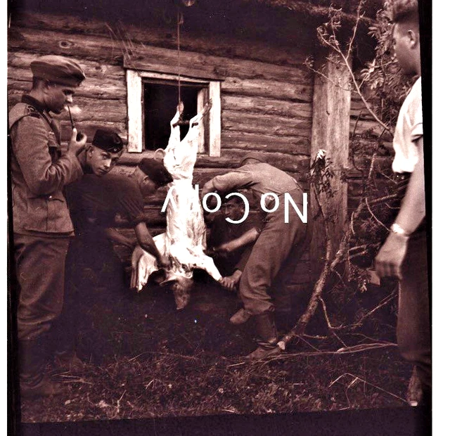 NEGATIV WW2 PANZER tank Einheit in Russia 1941/42 -Schwein wird geschl ...