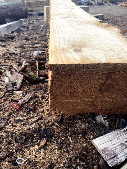 WANEY EDGE BEAUTIFUL British Western Red Cedar Cladding 12ft 3.7m (13 ...