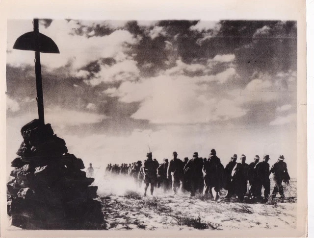 ORIGINAL PRESS PHOTO WW2 German column of prisoners being led away ...