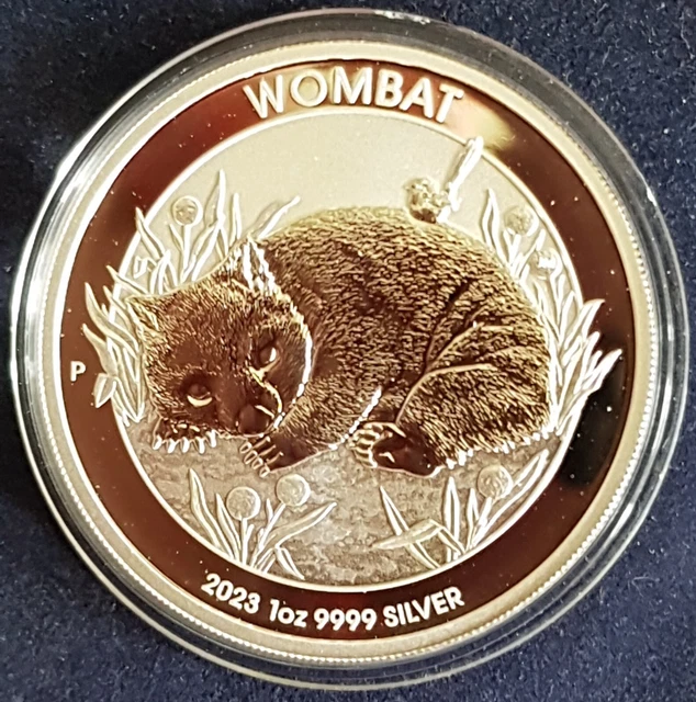 2023 1OZ SILVER Wombat Perth Mint Free Delivery £37.50 - PicClick UK
