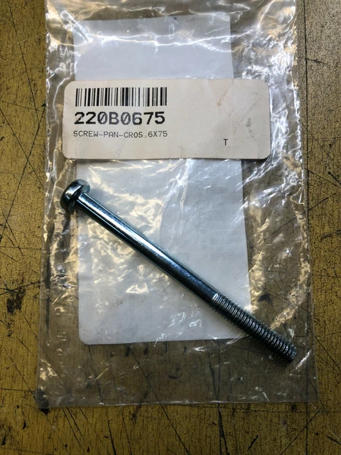 1 Vis 6x75 Kawasaki 220b0675 220aa0675 F5 F8 F9 G3ss Kd 80 Ke 100 Kh