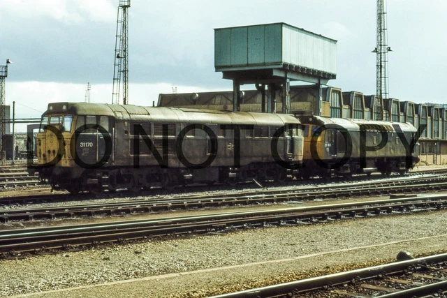 UK DIESEL TRAIN Railway Photograph Of Class 31 31170 Loco. (Rm31-153) £ ...