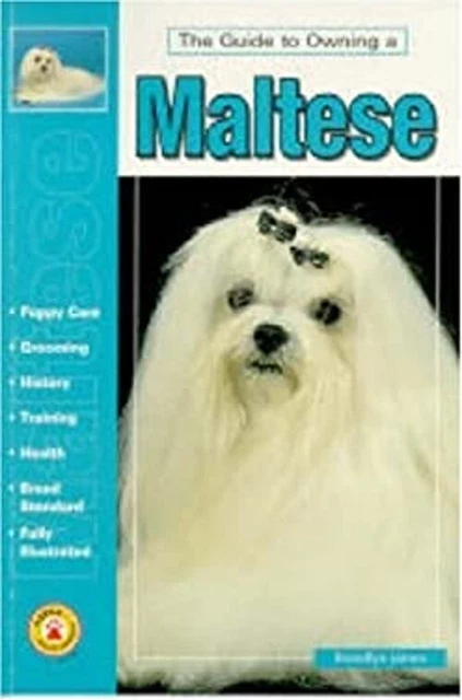 GUIDE POUR POSSÉDER un Maltais : rang AKC #23 livre de poche Brandlyn ...