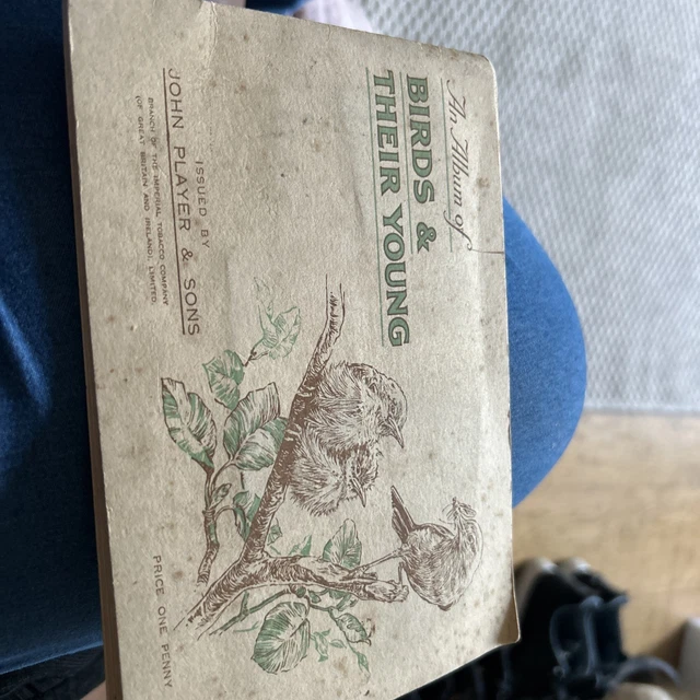 JOHN PLAYER CIGARETTE Cards Album of Birds and Their Young £5.43 ...