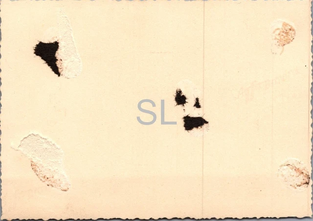 FOTO, INF. REGT. 22., Alte Polin, Stablack, Polen Feldzug, 1939 (MBF-46 ...