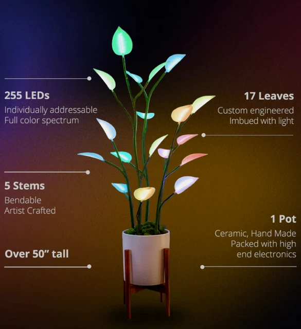 FLUORA MINI LED Plant Lamp Houseplant Smart Light Color & Light RGB App ...