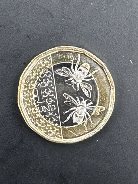 RARE ROYAL MINT 2025 King Charles III Bees £1 Coin £1,025.66 - PicClick UK