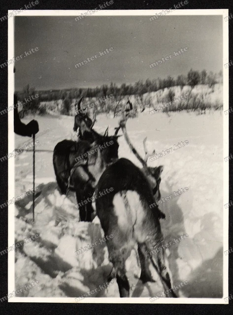 GEBIRGS-JÄGER-PIONIER BTL.82-FINNLAND-PETSAMO-1941-PETSCHENGA-MURMANSK ...