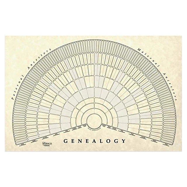 FAMILY TREE CHART Genealogy Chart Poster Blank Fillable For Bedroom EUR ...
