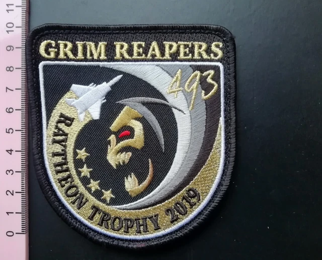 USAF 493RD FIGHTER Squadron Patch RAF Lakenheath F-15 Eagle Raytheon ...