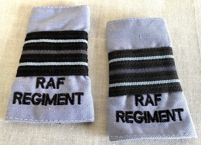 RAF ROYAL AIR Force Regiment Flight Lieutenant Light Blue Rank Slides ...