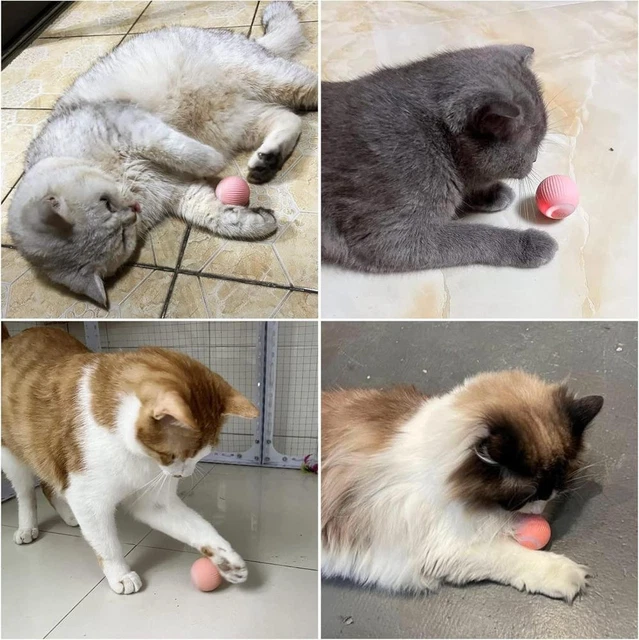 INTERACTIVE CAT BALL Toy, Intelligent Indoor Automatic Moving Ball ...