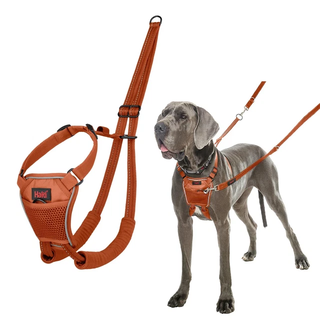 DOG HARNESS COMPANY Of Animals Orange L NEW $73.59 - PicClick AU