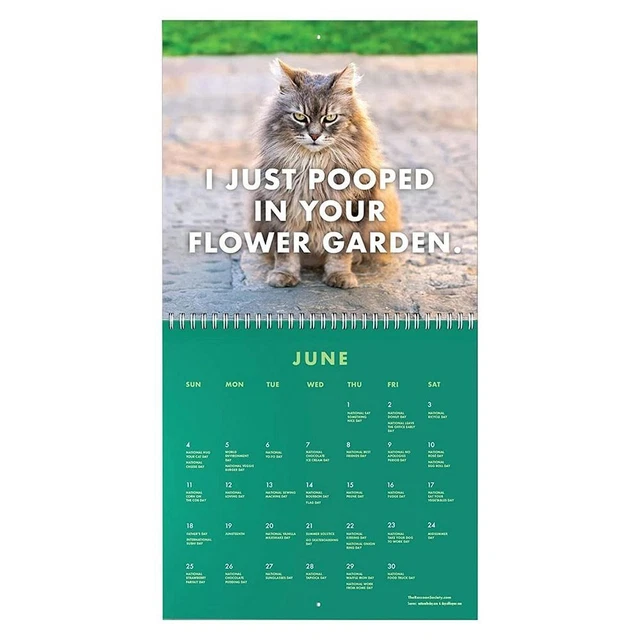 TIME PLANNING PISSED-OFF Cats Calendar Funny Cat Wall Calendar Home EUR ...