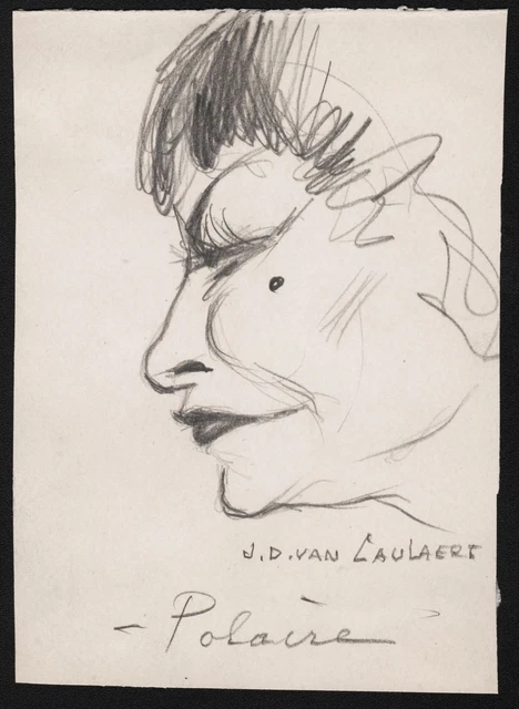 POLAR SINGER ACTRESS Singer Actress Portrait Drawing Drawing Van ...