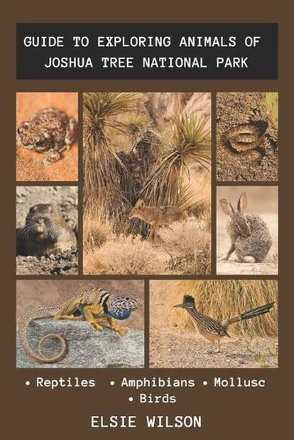 GUIDE TO EXPLORING Animals of Joshua Tree National Park: Joshua Tree ...