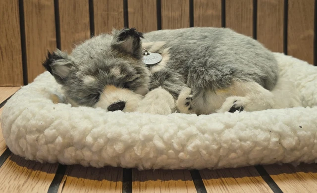 21AA PERFECT PETZZZ Alaskan Husky Grey White sleeping puppy realistic ...