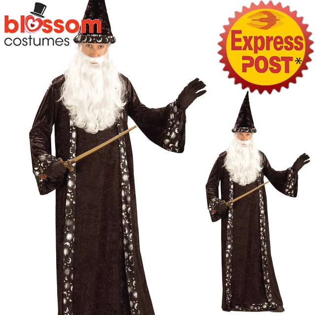 CA342 OH MR. Wizard Merlin Medieval Sorcerer Renaissance Hobbits ...