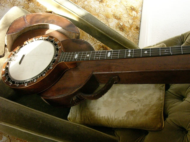 ANTIQUE 5 STRING windsor zither banjo, artiste model with leather case ...