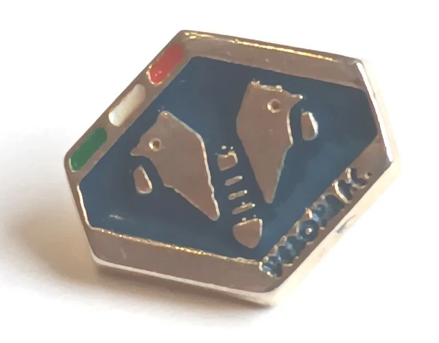 SPILLA PINS DISTINTIVO Stemma Simbolo Badge Logo Crest Club Fc Verona ...