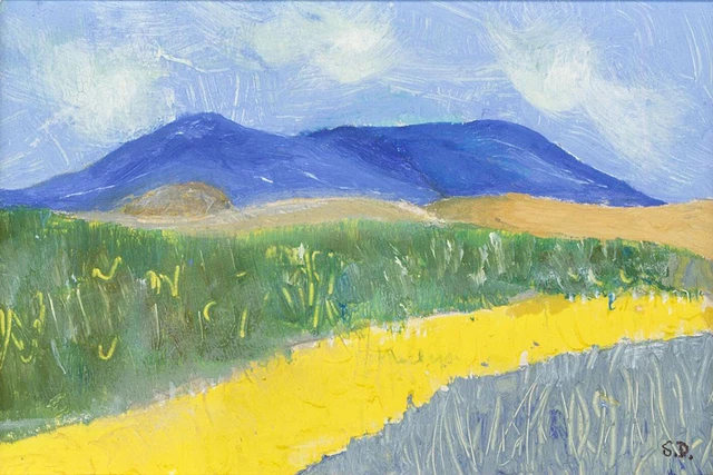 SEIRIOL DAVIES - Framed Contemporary Oil, Tirlun Gwent £80.00 - PicClick UK