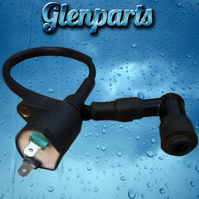 IGNITION COIL HONDA Ruckus Zoomer NPS50 NPS 50 Scooter NEW $16.37 ...