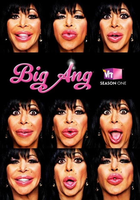 BIG ANG: SEASON 1 (DVD) Angela Raiola EUR 30,02 - PicClick IT