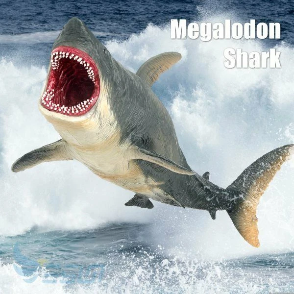 10& SHARK MODEL PVC Megalodon Meg Model Figure Jaws Ocean Animal Toy ...