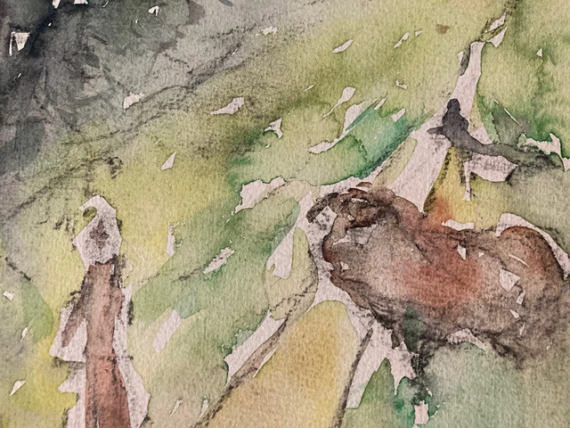 BEAUTIFUL DRAWING DOMINIC Avetrani Watercolour On Paper Cow Taureau ...