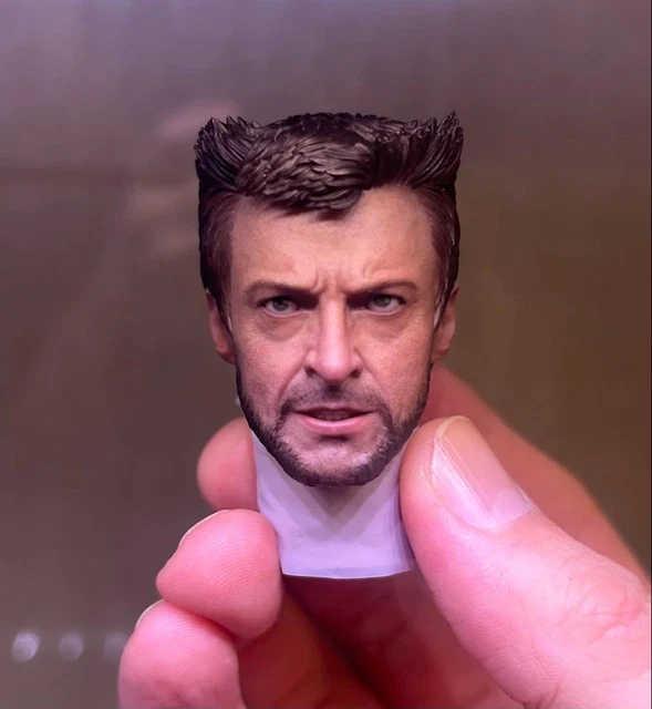 HOT TOYS WOLVERINE Deluxe Edition Real Face Head Only, Unused, No ...