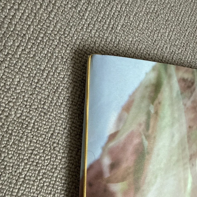 ULLA JOHNSON ISSUE 11 A/w 2025 Lookbook A3 Fashion Magazine Rare Aivita ...