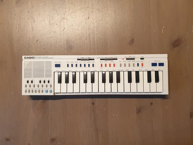CASIO PT-20 MINI Tastiera Elettronica 1980 con Custodia - Test Ok EUR ...