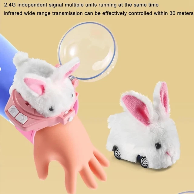CAPYBARA RABBIT REMOTE Control Car Watch Toys with Light 2.4G Racing ...