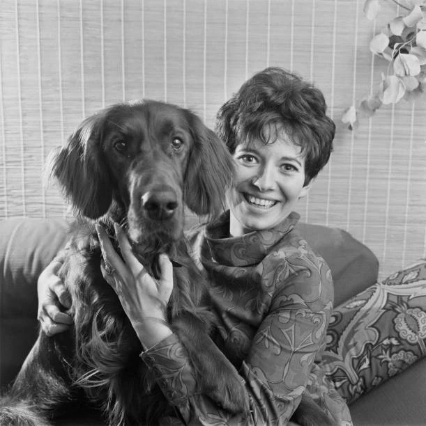 BRITISH ACTRESS AND Television Presenter Carol Chell Posed 1967 OLD ...