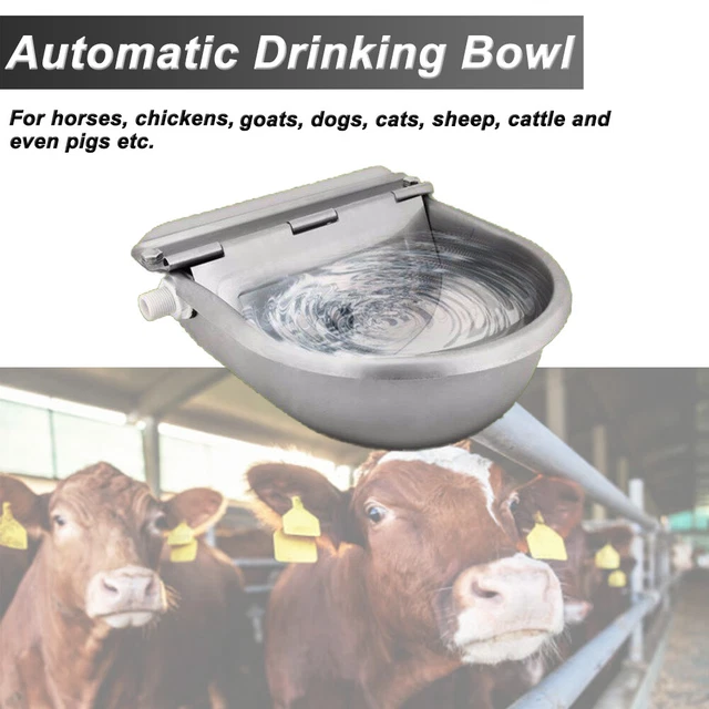 4L STAINLESS WATER Trough Bowl Auto Drinking For Dog Horse Chicken Auto ...