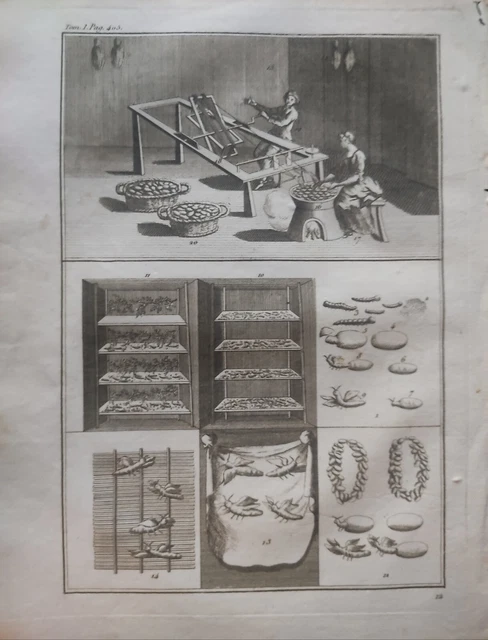 GRAVURE ANCIENNE XVIII Eme-La Culture Des Graines Du Vers A Soie EUR 30,00 - PicClick FR