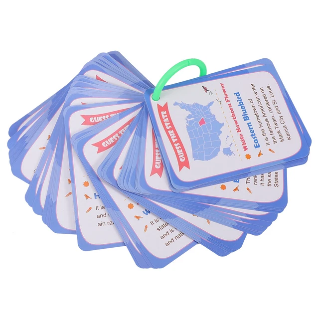 CARTES ÉDUCATIVES FLASH Drapeau Pays Majuscules Jouet Enfant EUR 10,18 ...