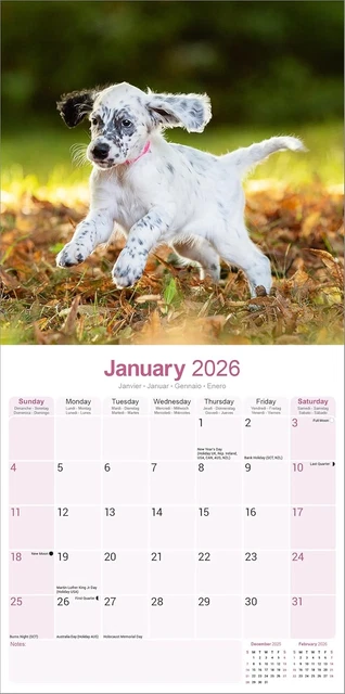 ENGLISH SETTER 2026 Calendar | Square Wall | Dog Breed Gift |... £18.79 ...