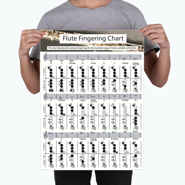 Flute Fingering Chart Practice Poster Music Chords Poster For Teacher £ 1225